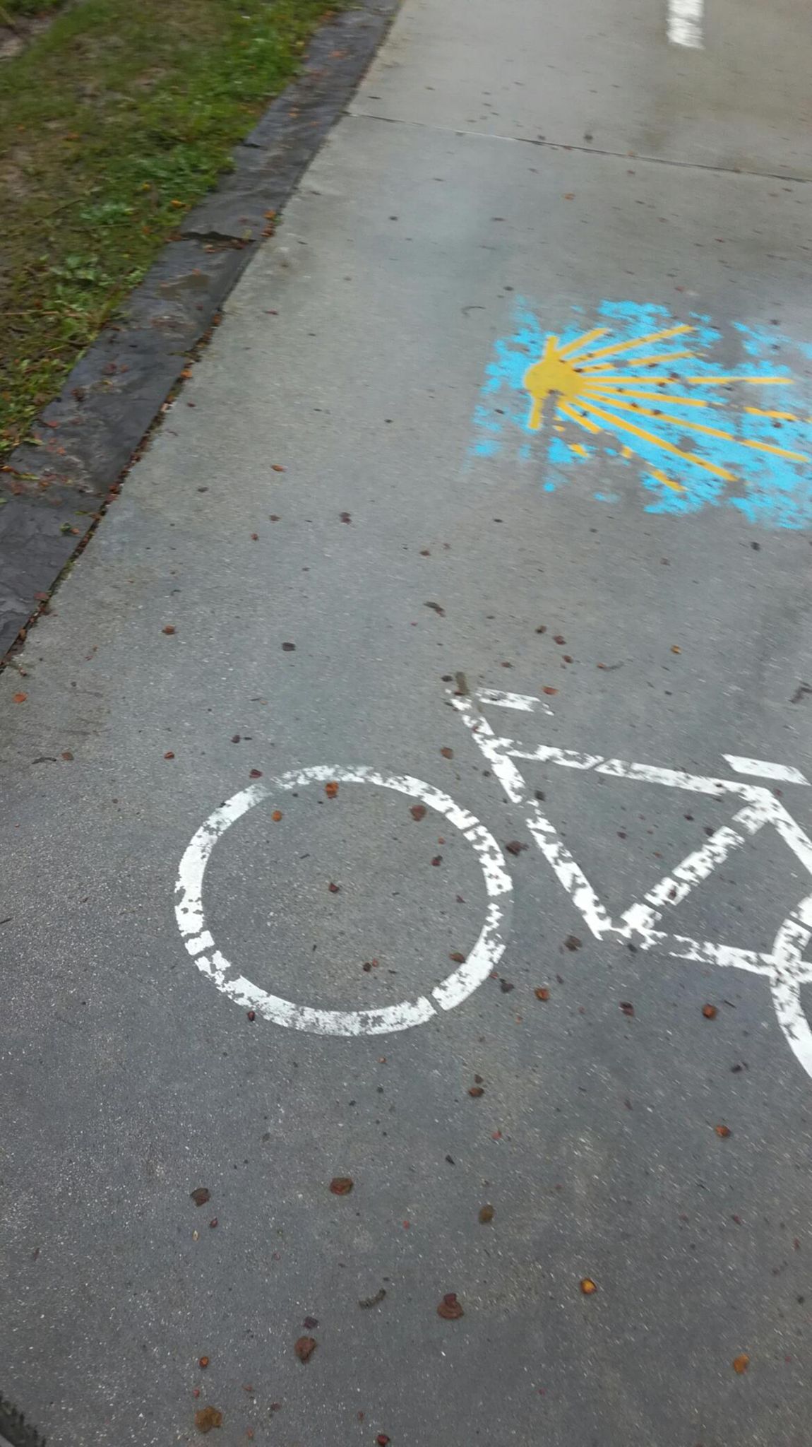 alta-del-pedron-cycle-track – The Utterly Brilliant Timmy Mallett