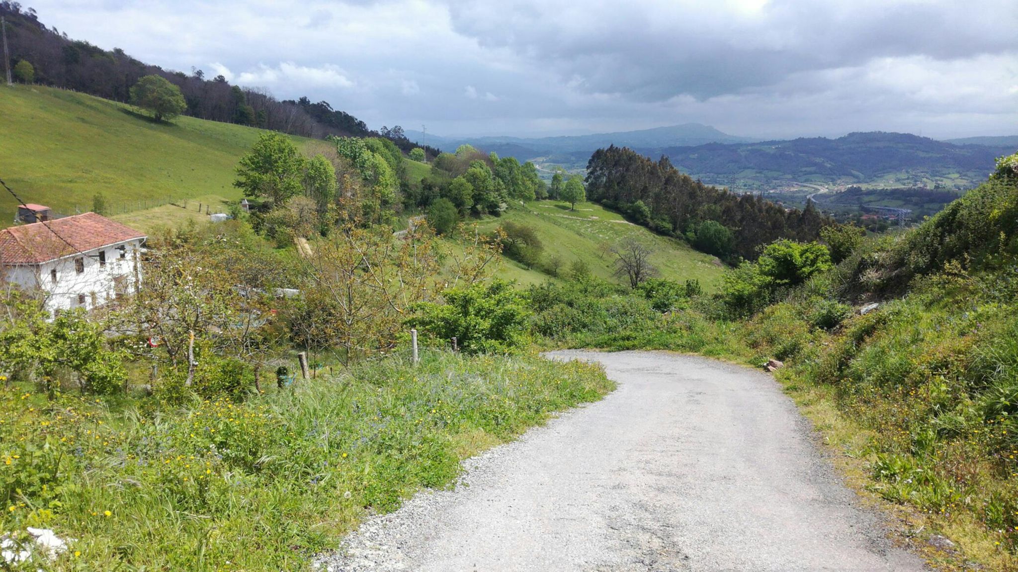 asturia-country-lane – The Utterly Brilliant Timmy Mallett