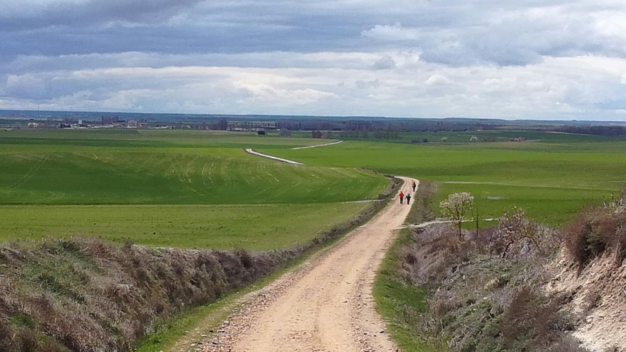 panoramic-plains-spain – The Utterly Brilliant Timmy Mallett